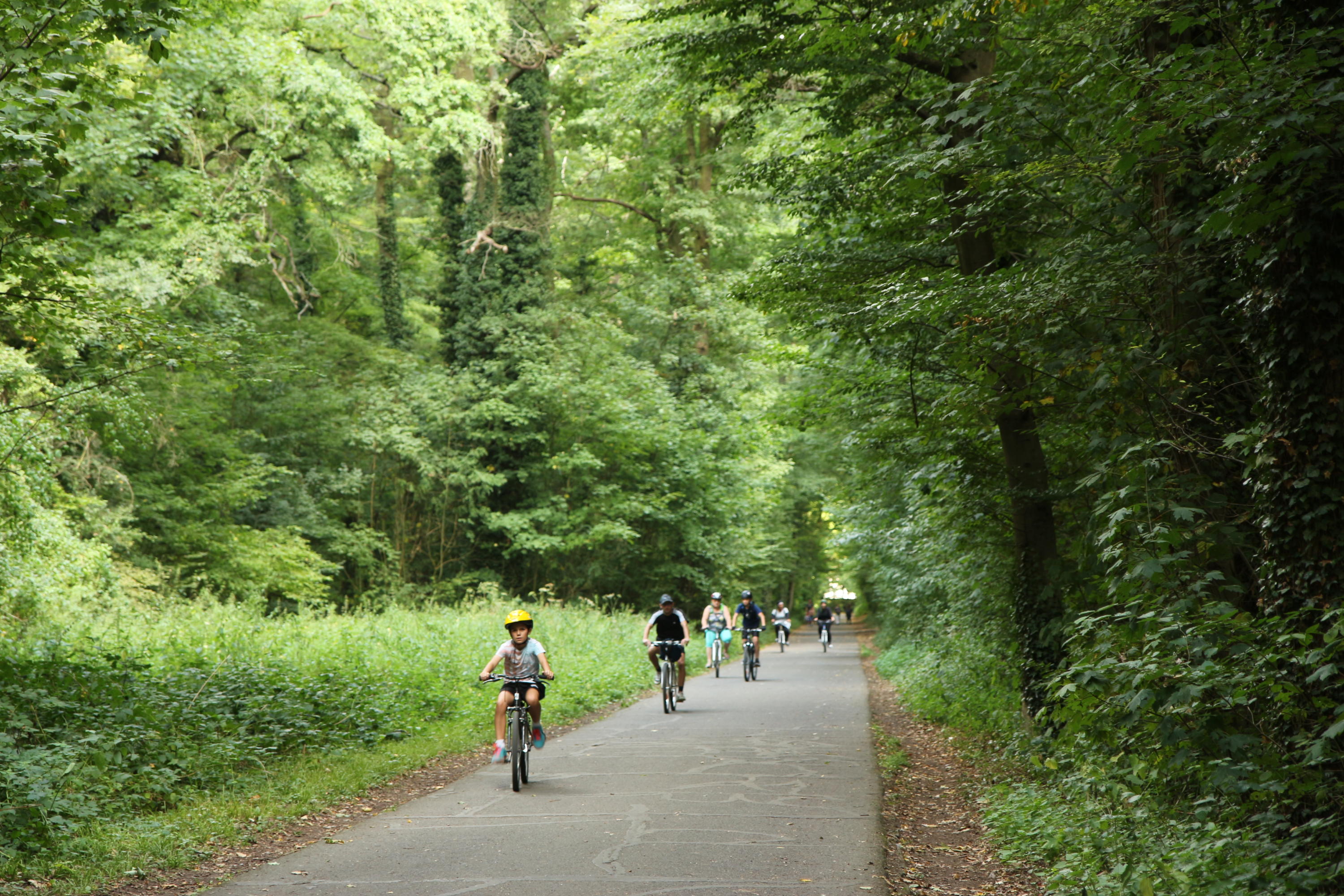Are gravel cycle routes more ecological? - A comparison of paved and ...