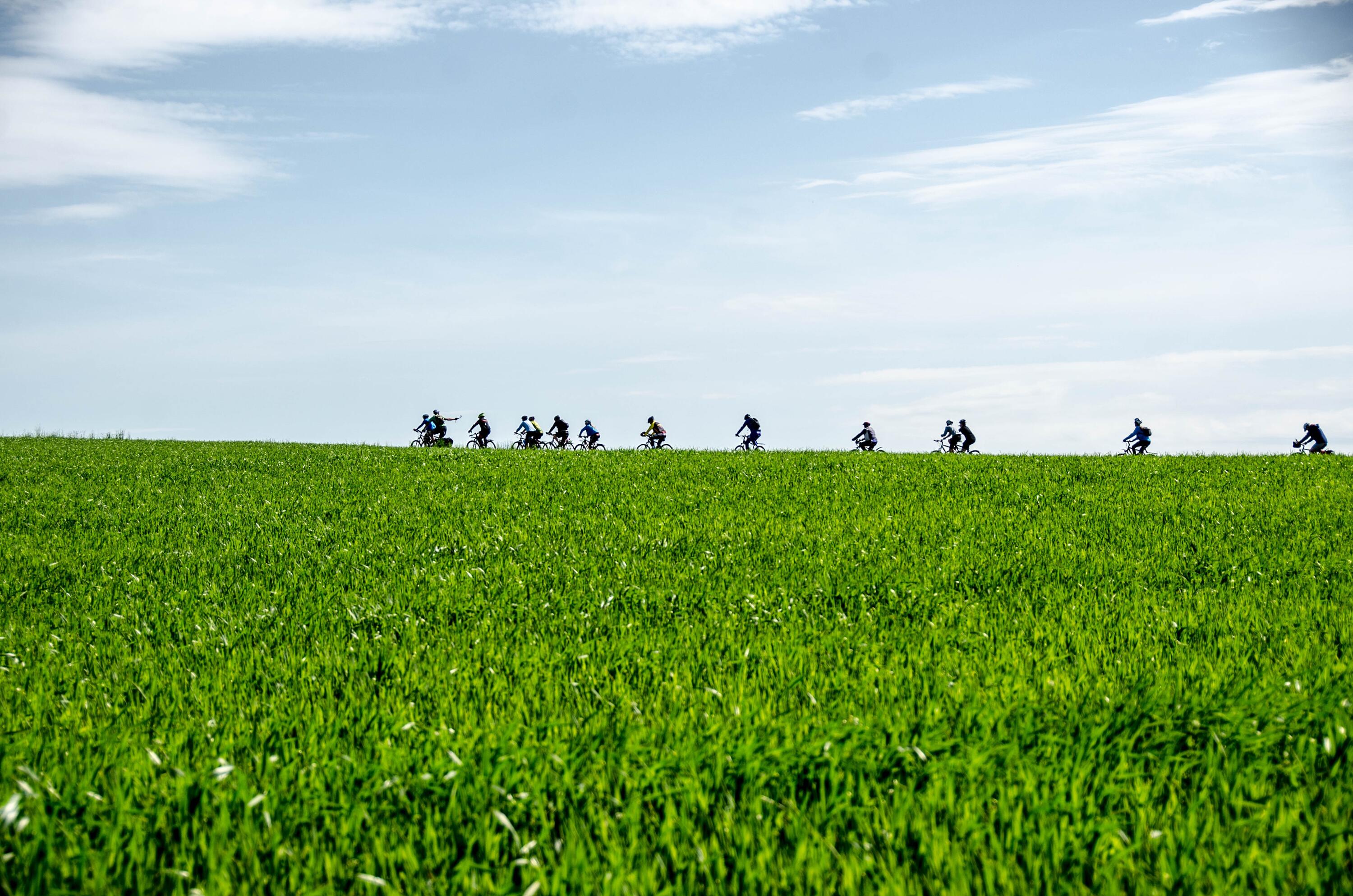 EuroVelo 13 – Iron Curtain Trail recertified as Cultural Route of the ...