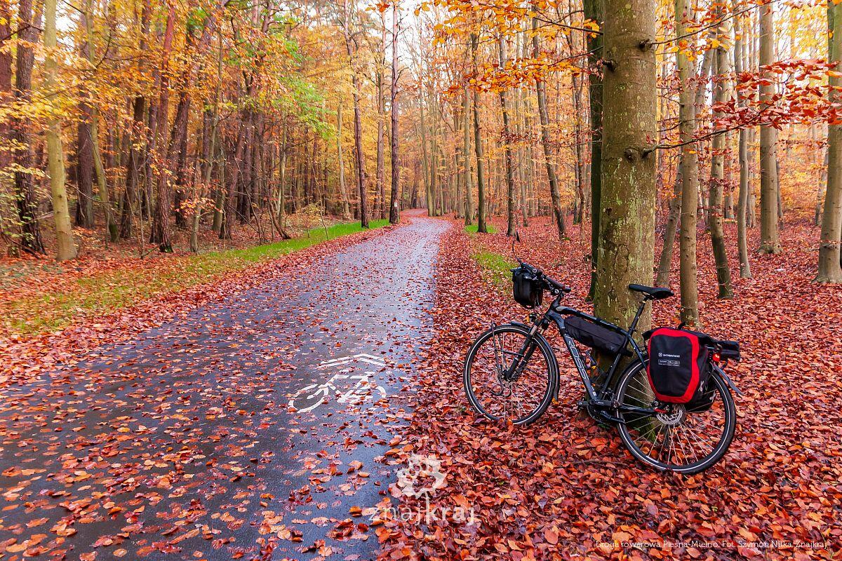 Cycling your first EuroVelo route: tips for beginners - EuroVelo